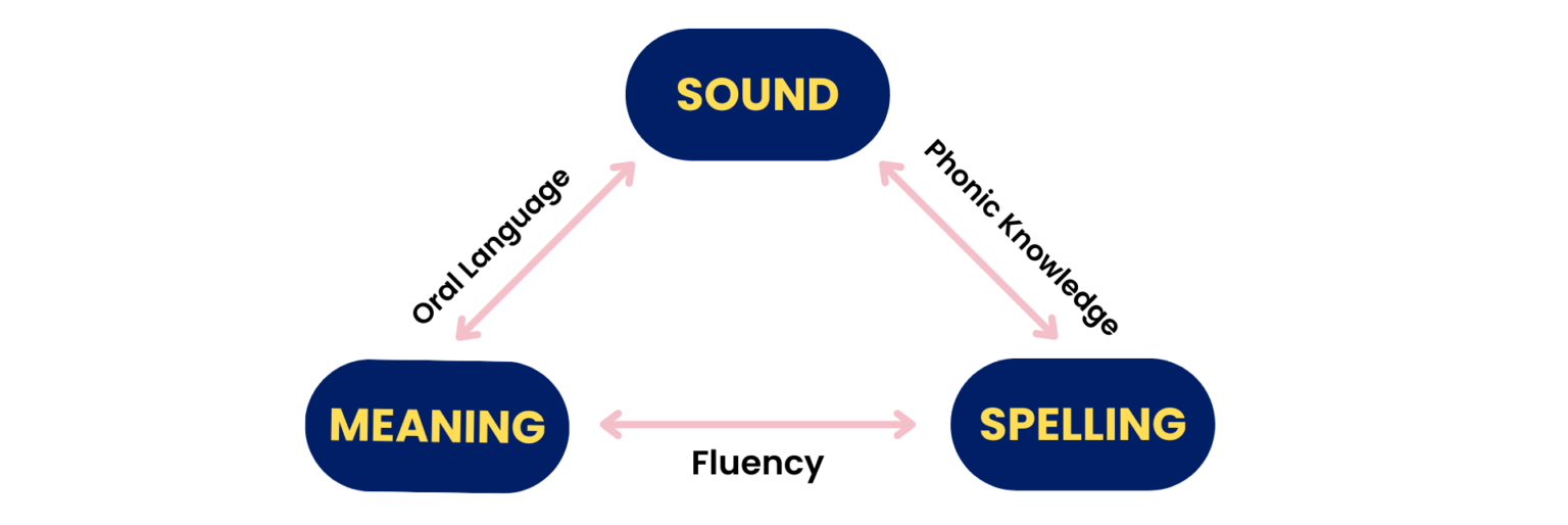 B2. Word-Level Reading and Spelling | ONlit.org
